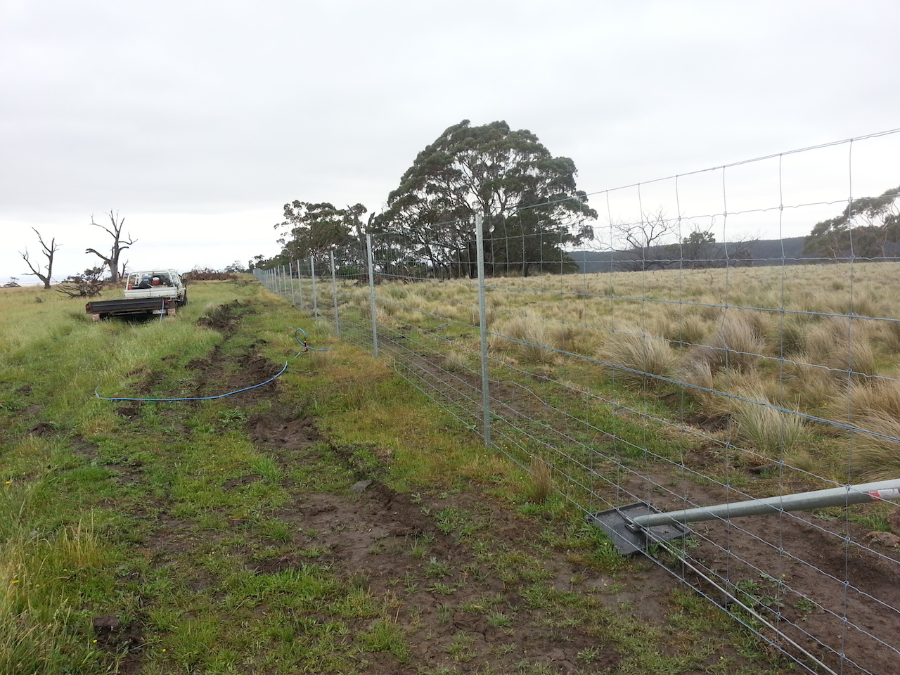 Brisbane Ranges | EUROKA FENCING BALLARAT