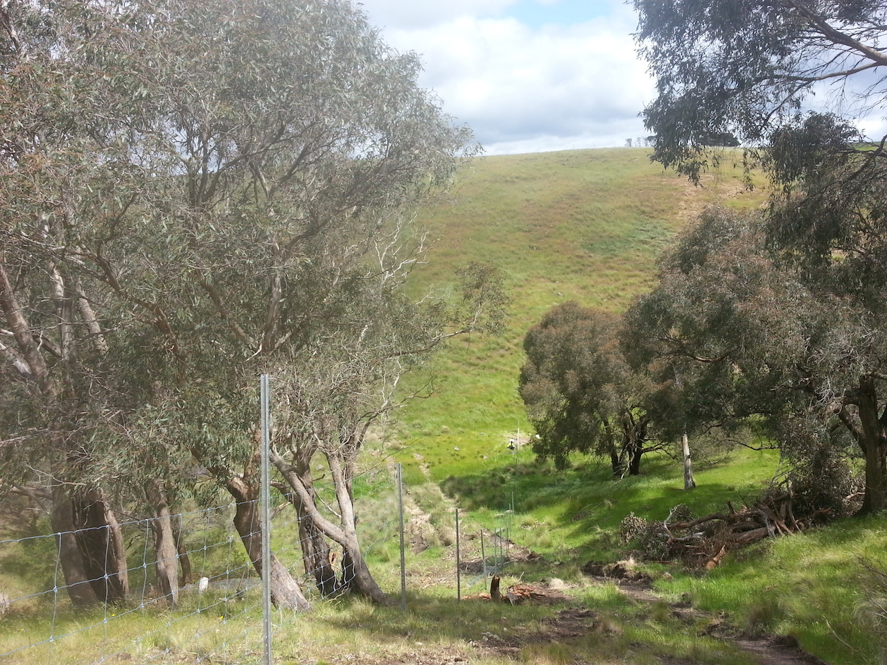 Brisbane Ranges | EUROKA FENCING BALLARAT